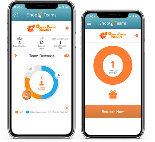 Portfolio Shop N Team